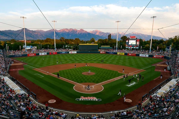 Welcome, Bees Fans! | Travelpass