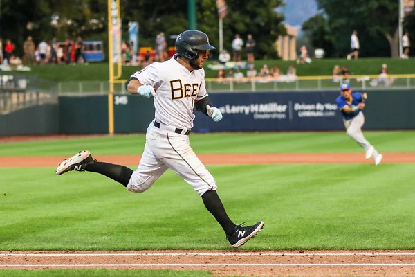 Welcome, Bees Fans! | Travelpass